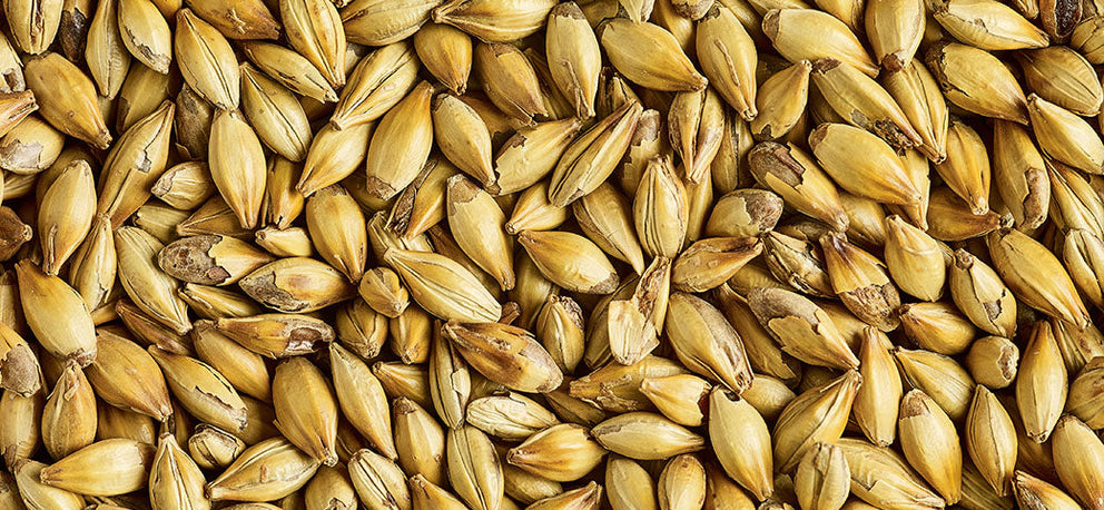 Grains – Better Brewer